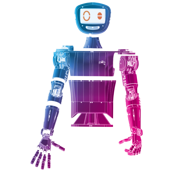 pib | Build Your Own Robot