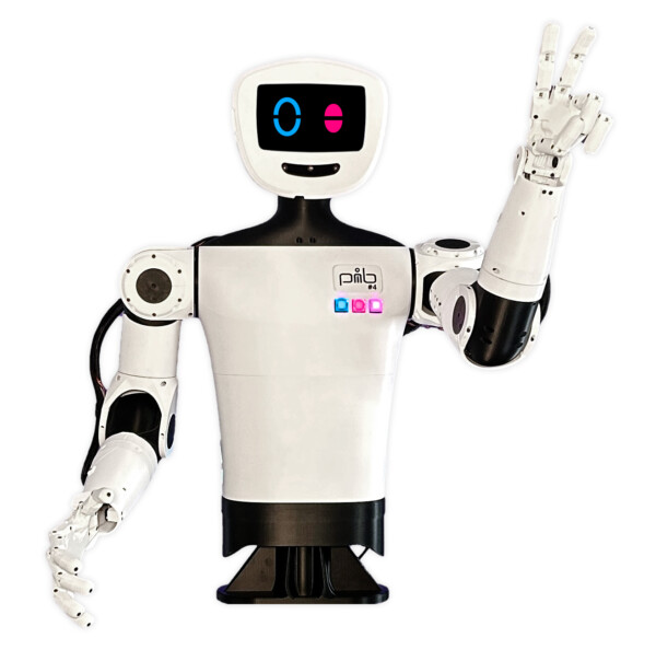 Open Source Humanoid Robot pib Released in New Version – pib | The 3D ...